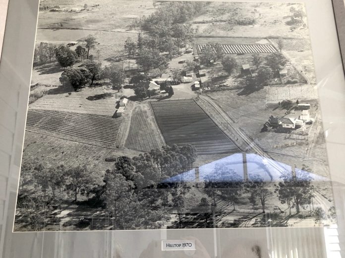 Leppington: Local memories of a dramatically changing suburb - Salience