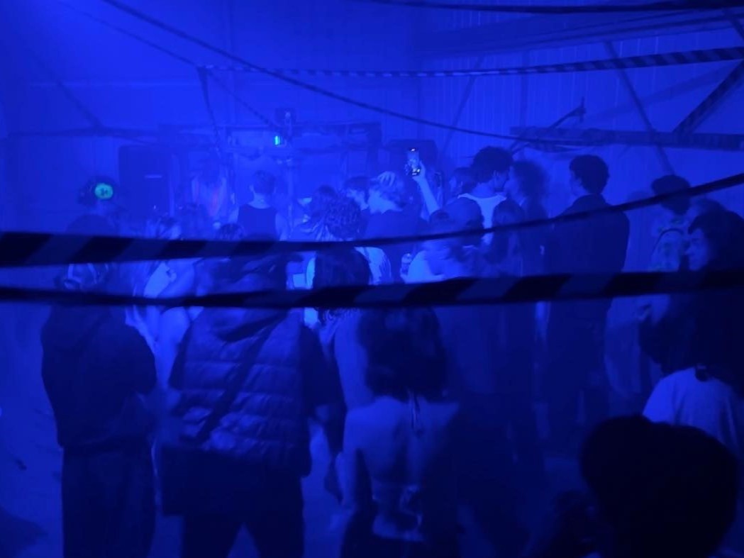 Adventures with the Ravers of Sydney - Salience