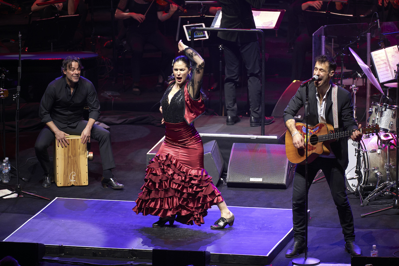 Review: The Cat Empire, Sydney Opera House - Salience