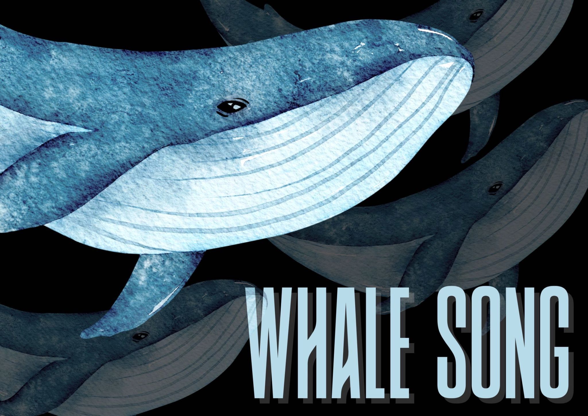 Whale Song - Salience